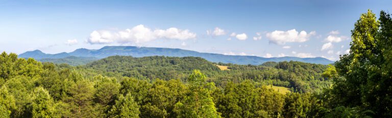 Fort McClellan Toxic Exposure