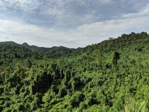 VA Updated List of Agent Orange Exposure Locations