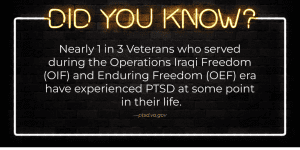 PTSD Triggers (Veteran’s Guide)